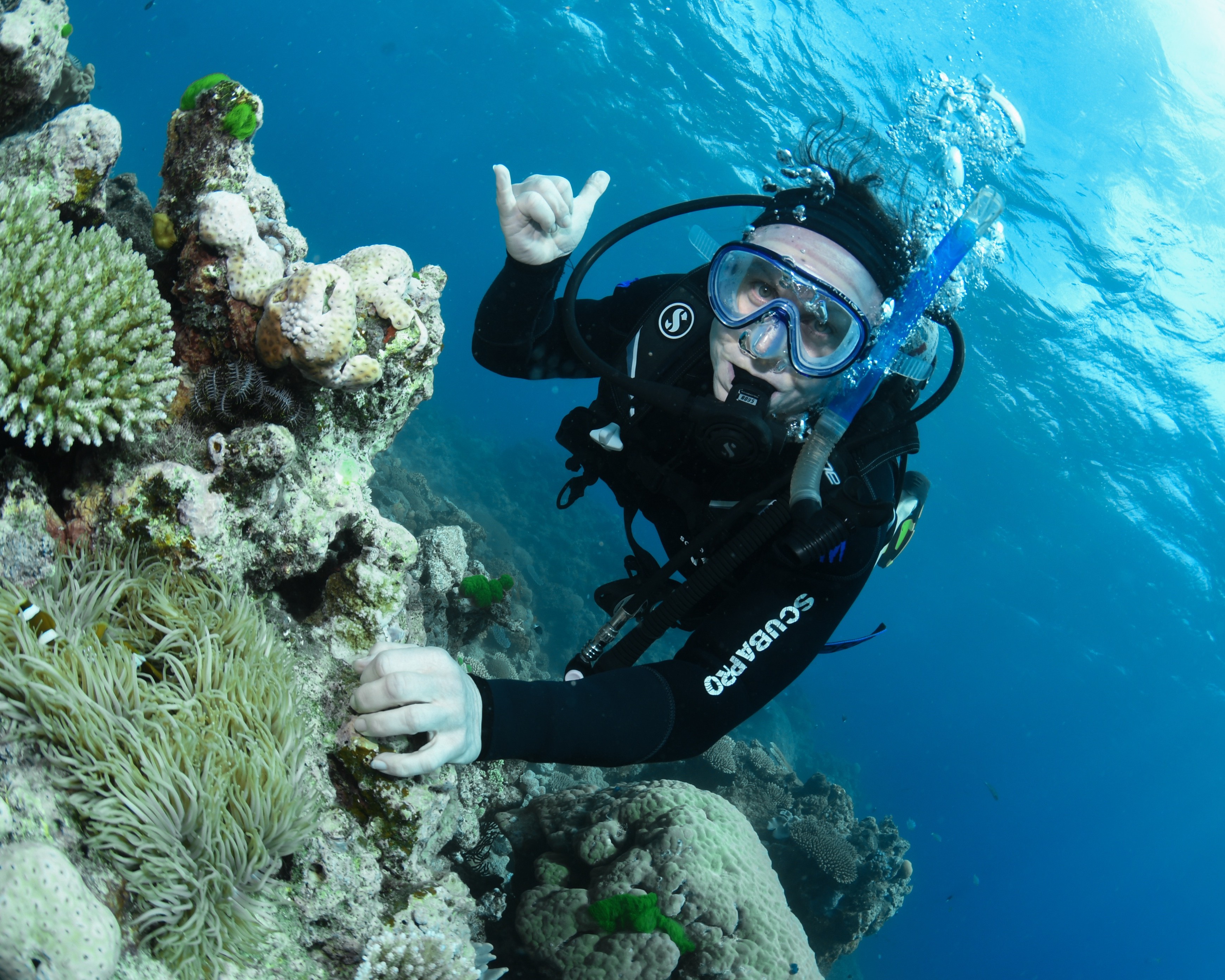 Gallery – Christine Envall